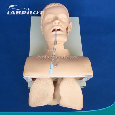 China Electronic Tracheal Intubation Training Model with Inflatable Lung NG Tube and Suction Simulator Ideal for sale