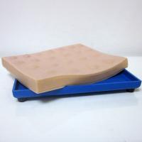 China Practice Surgical Skin Model Large Suturing Pad for Abscess Incision Drainage Practice for sale