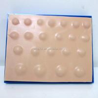 China Practice Surgical Skin Model Large Suturing Pad for Abscess Incision Drainage Practice for sale