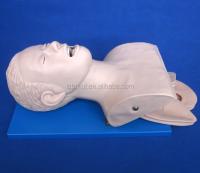 China Adult Manikin Electronic Tracheal Intubation Simulator with Teeth Pressure Alarm for sale