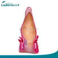 China Detailed Anatomy Structures Human Rectum and Anal Canal Model for Medical Conferences for sale