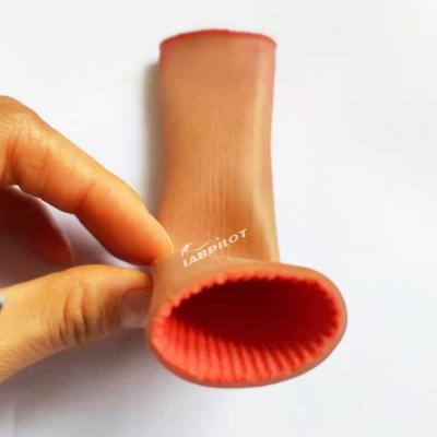 China Intestinal Anastomosis Training Model for Medical Students Laparoscopic Suture Practice for sale