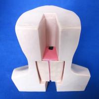 China Advanced CPR Training Airway Management Simulator HOT Model for Medical Professionals for sale