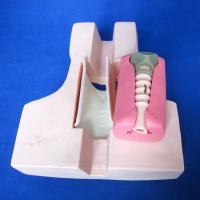 China Advanced CPR Training Airway Management Simulator HOT Model for Medical Professionals for sale