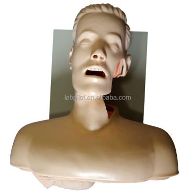 China Electronic Warning Oral and Nasal Intubation Trainer for Emergency Skills Training for sale