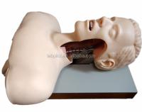 China Electronic Warning Oral and Nasal Intubation Trainer for Emergency Skills Training for sale