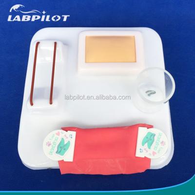 China Patients Care Demonstration Human Life Size Intestinal Anastomosis and Suture Practice Pad for sale
