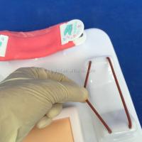 China Patients Care Demonstration Human Life Size Intestinal Anastomosis and Suture Practice Pad for sale