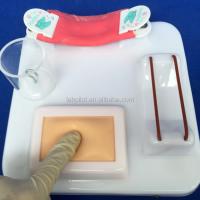 China Patients Care Demonstration Human Life Size Intestinal Anastomosis and Suture Practice Pad for sale