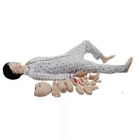 China Gender-Specific Genital Mannequin for Medical Science Training Caregiver Edition for sale