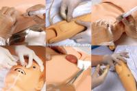 China Gender-Specific Genital Mannequin for Medical Science Training Caregiver Edition for sale