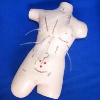 China Realistic Appendectomy Teaching Model for Bandage and Suture Skills Surgical Dummy for sale