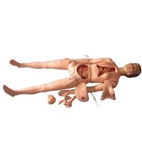China Internal Organs Nursing Training Manikin for Human Life Size Patients Care Demonstration for sale