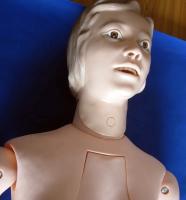 China Internal Organs Nursing Training Manikin for Human Life Size Patients Care Demonstration for sale