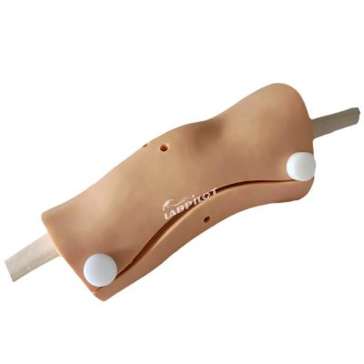 China Advanced Knee Arthroscopy Model Clinical Nursing Skills Training with Advanced PVC Plastic for sale