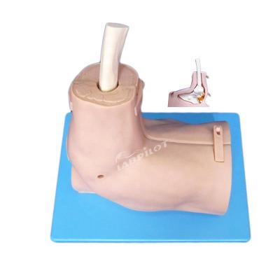 China Medical Examination Training Simulator for Shoulder Arthroscopy Hospitals' Top Choice for sale