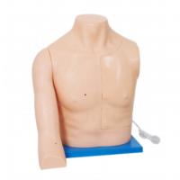 China Human Life Size Venous Intervention Training Model for Medical Skills Nursing Teaching for sale
