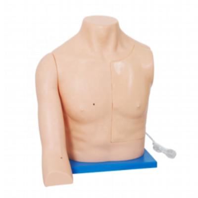 China Human Life Size Venous Intervention Training Model for Medical Skills Nursing Teaching for sale