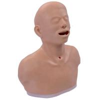 China Advanced PVC Thyroid Examination Training Model Endocrine Inspection Teaching Tool for sale
