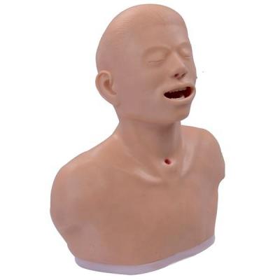 China Advanced PVC Thyroid Examination Training Model Endocrine Inspection Teaching Tool for sale