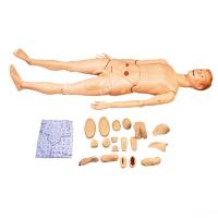 China Categories Comprehensive Nursing Care Practice Multi-functional Male Patient Simulator for sale