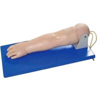China Advanced Pediatric Venipuncture Arm for Patients Care Demonstration Human Life Size for sale