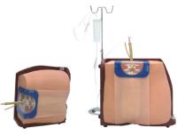 China Vivid Human Torso Training and Education Model Advanced PVC Spinal Puncture Simulato for sale