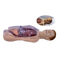 China Hospital Clinic College Nurse School Human Life Size Sengstaken-Blakemore NG Tube Nursing Training Simulator for sale