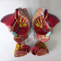 China Female Pelvis Anatomical Model with Detailed Nerves Vessels and Female Pelvic Anatomy for sale