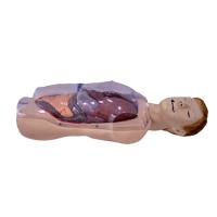China Hospital Clinic College Nurse School Human Life Size Sengstaken-Blakemore NG Tube Nursing Training Simulator for sale