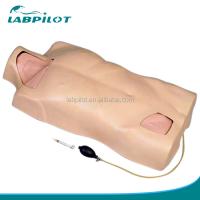 China Multiple Veins Puncture Training Simulator Central Venous Catheterization Torso Model for sale