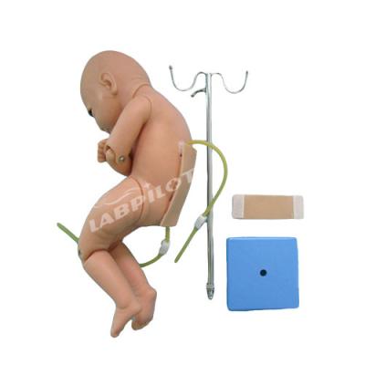 China Medical Science Infant Lumbar Puncture Anesthesia Training Simulator Manikin for sale