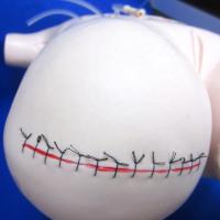 China Subject Medical Science Advanced PVC Surgical Wound Care Manikin for Nursing Education for sale