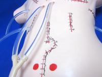 China Subject Medical Science Advanced PVC Surgical Wound Care Manikin for Nursing Education for sale