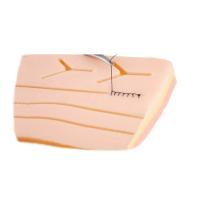 China 3-Layer Silicon Skin Suture Training Model Perfect for Surgical Practice Improvement for sale