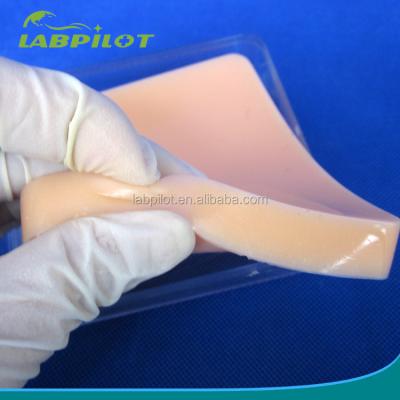 China Human Life Size Suturing Training Pad Light Skin Model for Accurate Skill Improvement for sale