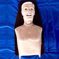 China Adult Intubation Trainer Top Choice for Multi-functional Airway Management Training for sale