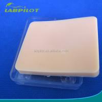China Human Life Size Suturing Training Pad Light Skin Model for Accurate Skill Improvement for sale