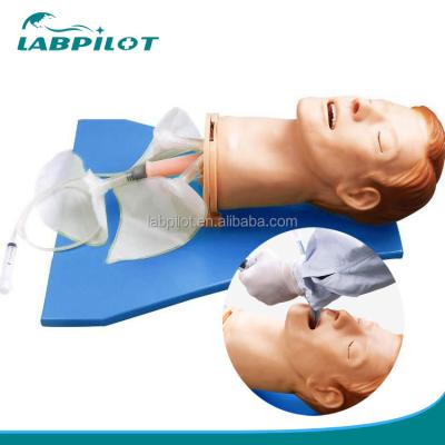 China Intubation Training Simulator Comprehensive Airway Model with Human Life Size Manikin for sale