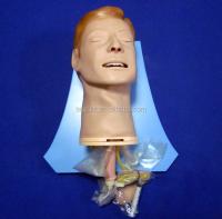 China Intubation Training Simulator Comprehensive Airway Model with Human Life Size Manikin for sale