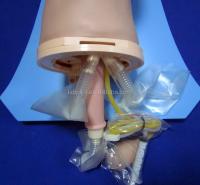 China Intubation Training Simulator Comprehensive Airway Model with Human Life Size Manikin for sale