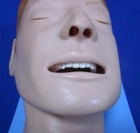 China Intubation Training Simulator Comprehensive Airway Model with Human Life Size Manikin for sale