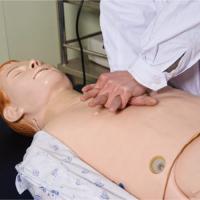 China Intelligent First Aid Training Manikin for Human Life Size Clinical Nursing Education for sale