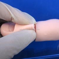 China Nail Excision Training Model for Clinical Surgical Skills Teaching in Medical Science for sale