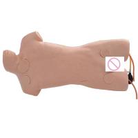 China Advanced PVC Human Care Training Manikin for External Jugular Vein Puncture Simulation for sale