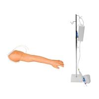 China Realistic Venipuncture and Injection Training Arm Model for Healthcare Professionals for sale