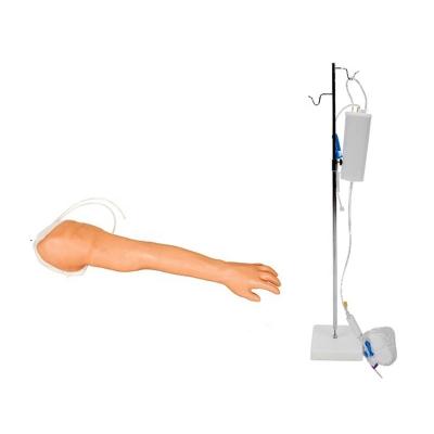 China Realistic Venipuncture and Injection Training Arm Model for Healthcare Professionals for sale