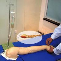 China Realistic Venipuncture and Injection Training Arm Model for Healthcare Professionals for sale
