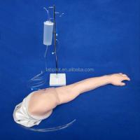 China Realistic Venipuncture and Injection Training Arm Model for Healthcare Professionals for sale
