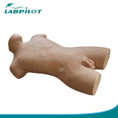 China Human Life Size Vivid Wound Manikin for Central Venipuncture Training in Healthcare for sale